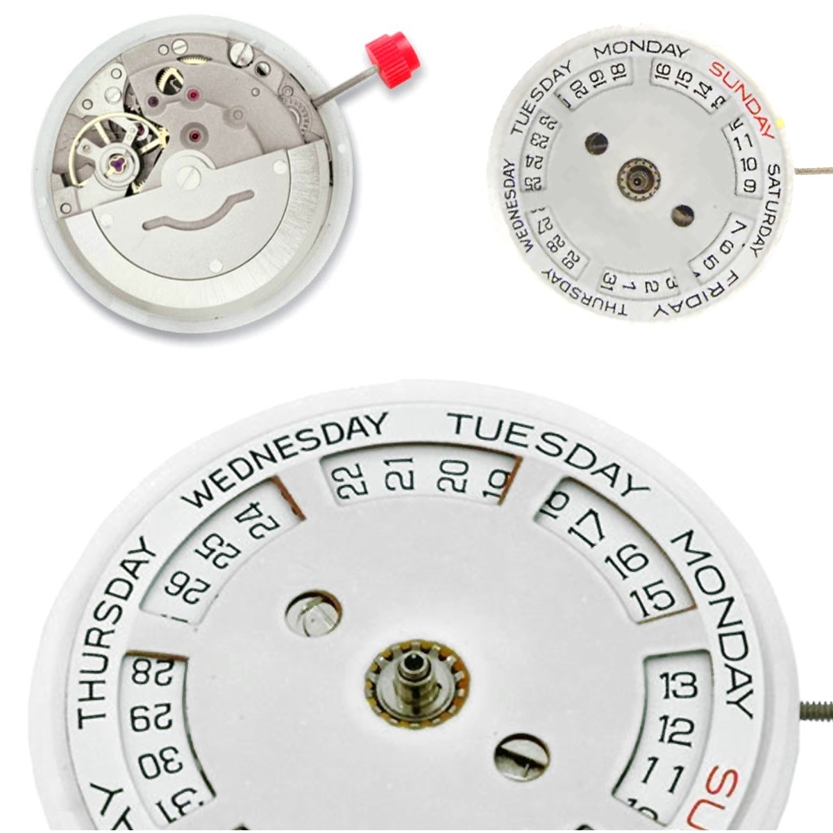 Movimento orologio automatico DG2812 - Fornitore di movimenti per orologi